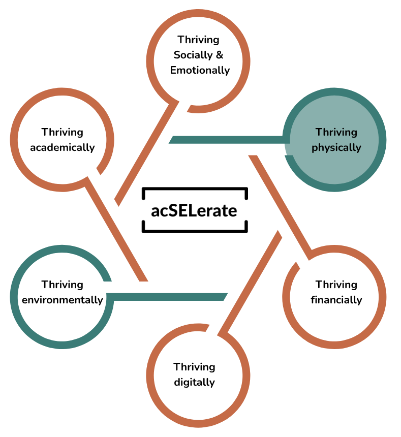 What We Do – Learning Curve Foundation